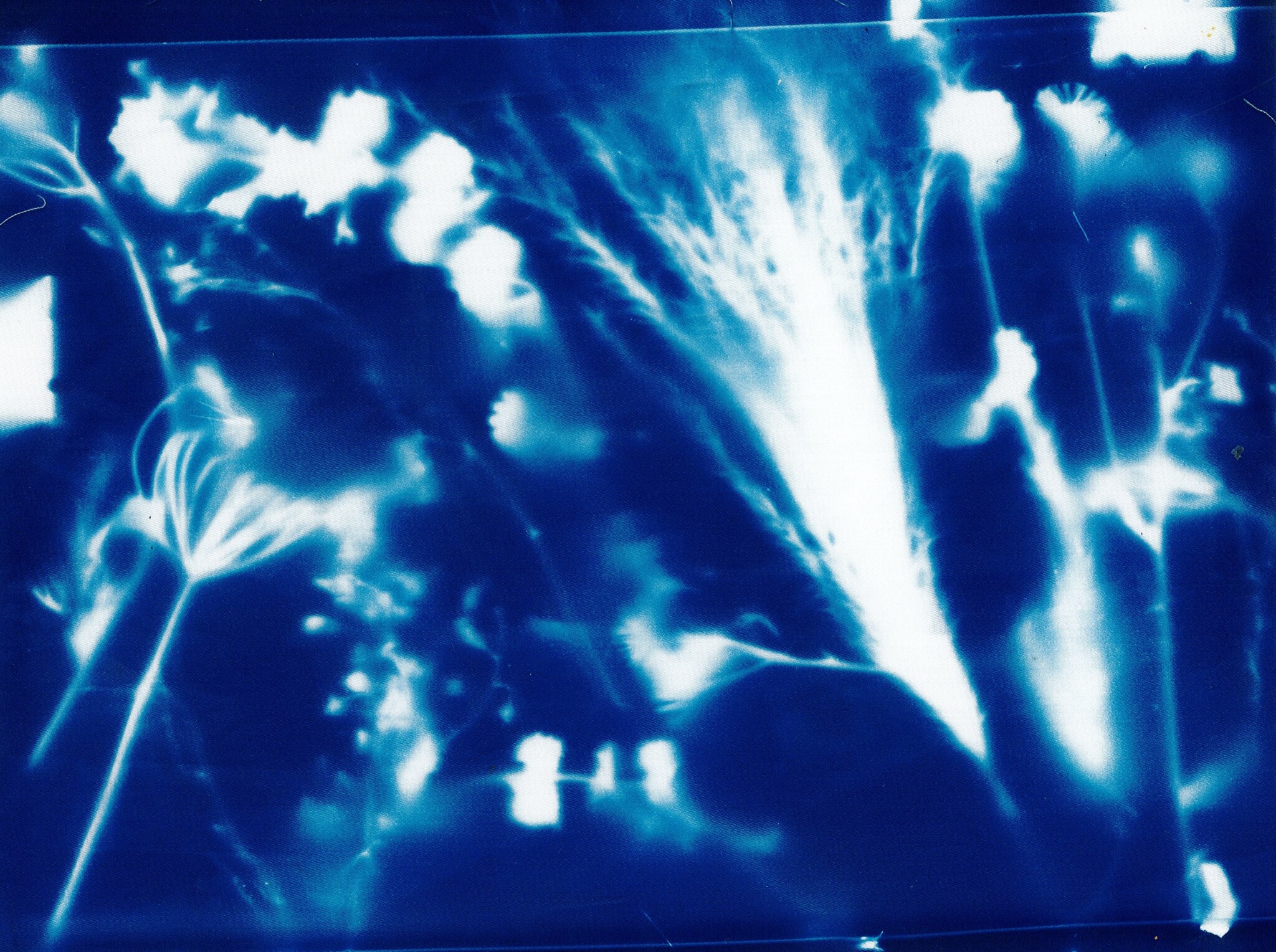 “My Favorite Print” – Shawn D. – Friendship Heart Gallery & Studio